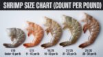 Shrimp Sizes Explained: Chart & Tips for Perfect Seafood Dishes